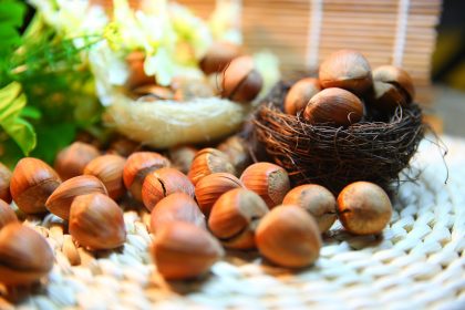 Nutrition Facts & Health Benefits – Ontario Hazelnut Association